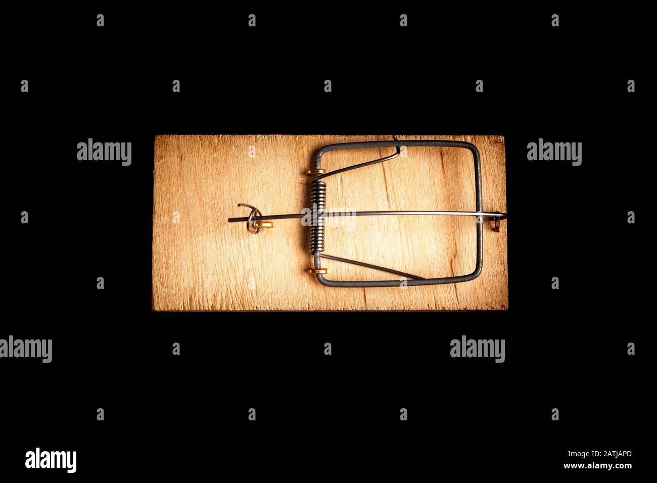 Empty mousetrap hi-res stock photography and images - Alamy