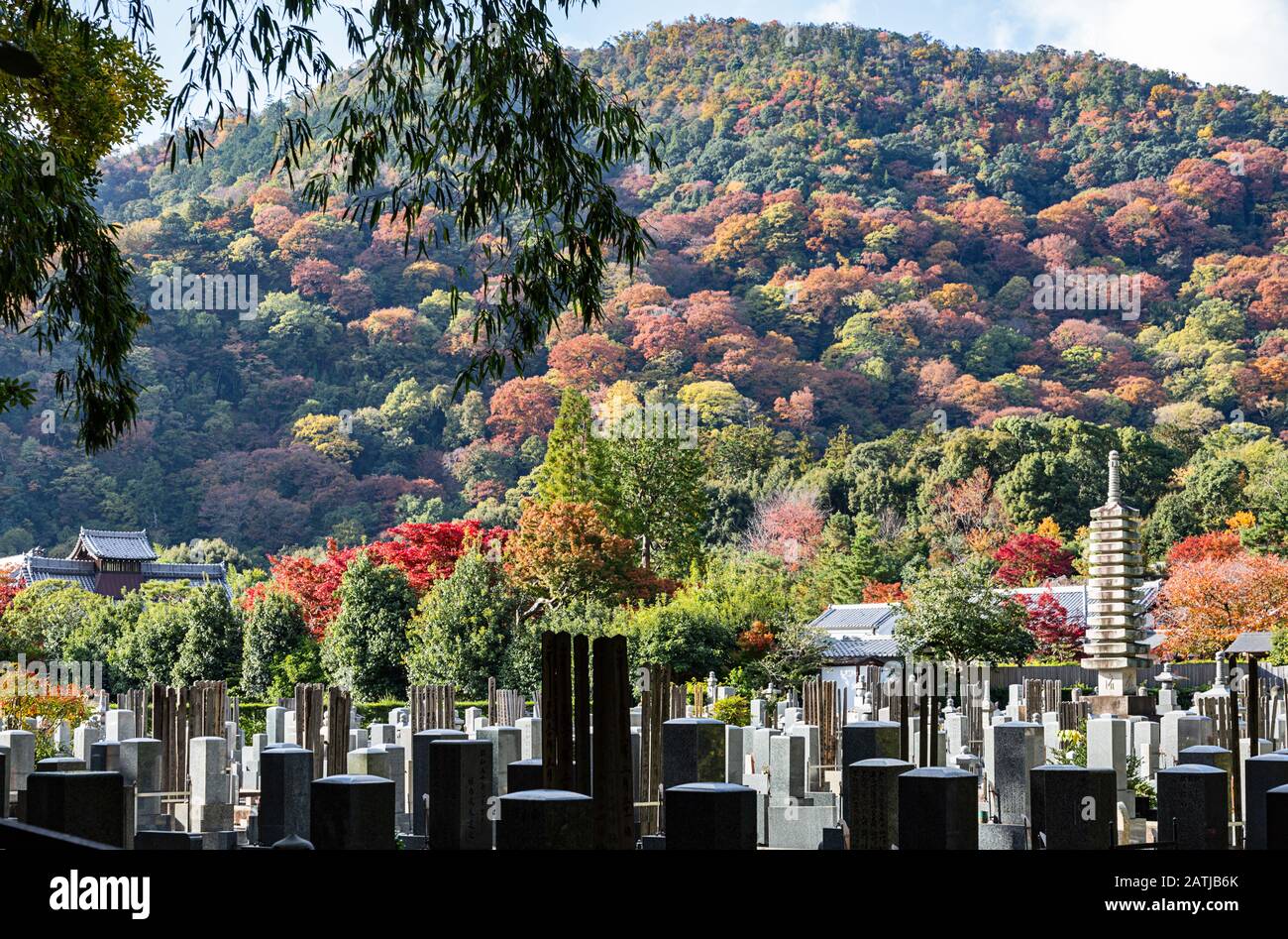 Maple hill cemetery hi-res stock photography and images - Alamy