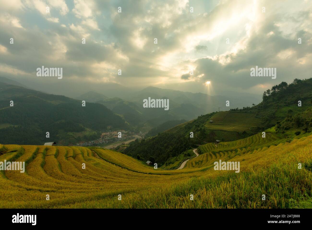 Vietnamese rice field on terraced and cloudy in Mu Cang Chai Vietnam ...