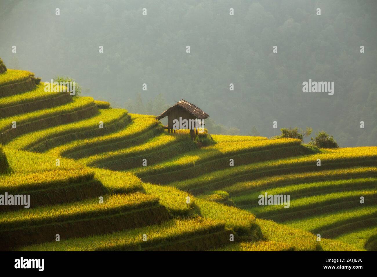 Aerial view of rice terraced field hi-res stock photography and images ...