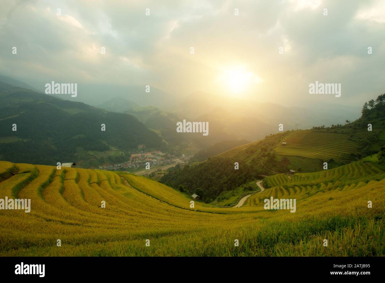 Vietnamese rice field terrace hi-res stock photography and images - Alamy