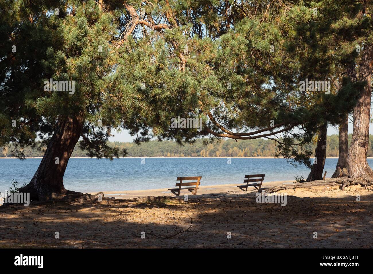 Bench on the lakeshore. Calm nature background Stock Photo - Alamy