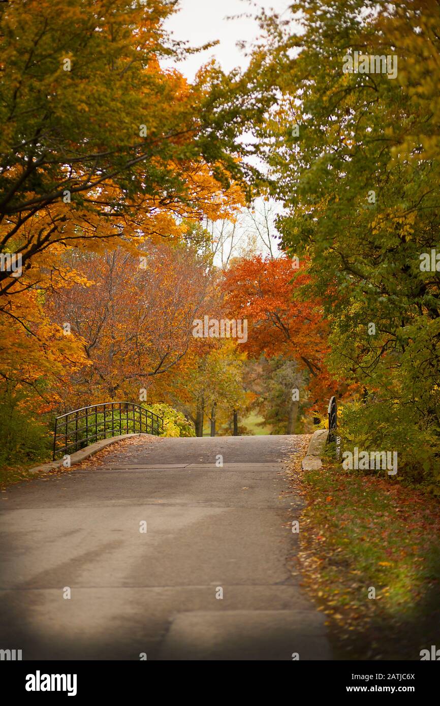 Morton arboretum hi-res stock photography and images - Alamy