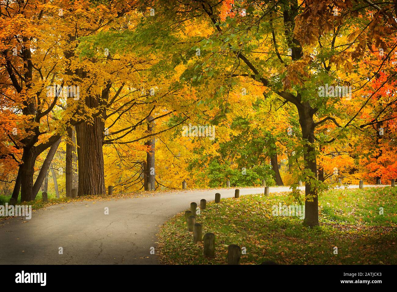 Brightly colored fall images from the Morton Arboretum in Lisle ...