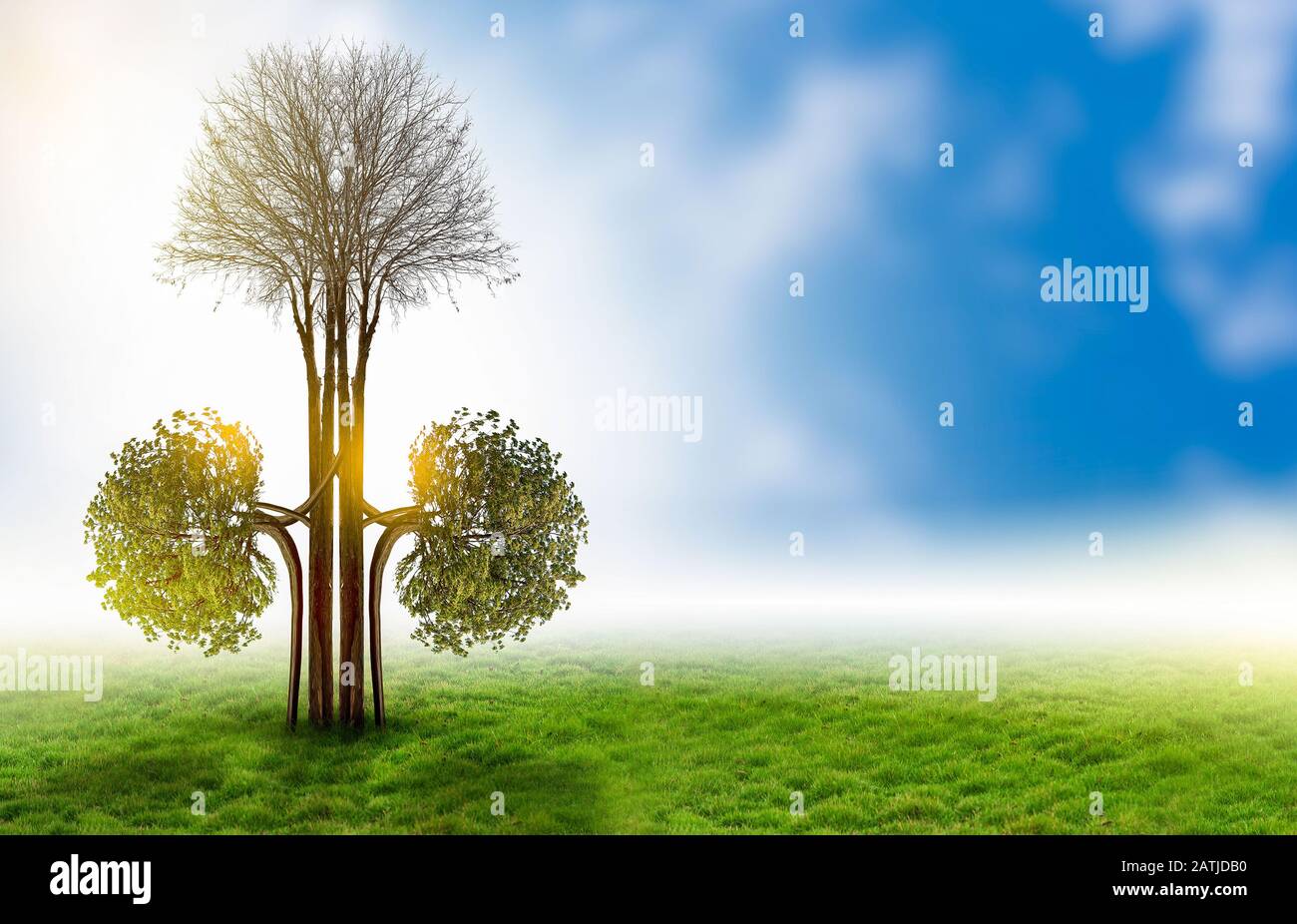The tree (kidney) is a 3D illustration of the medical environmental ...