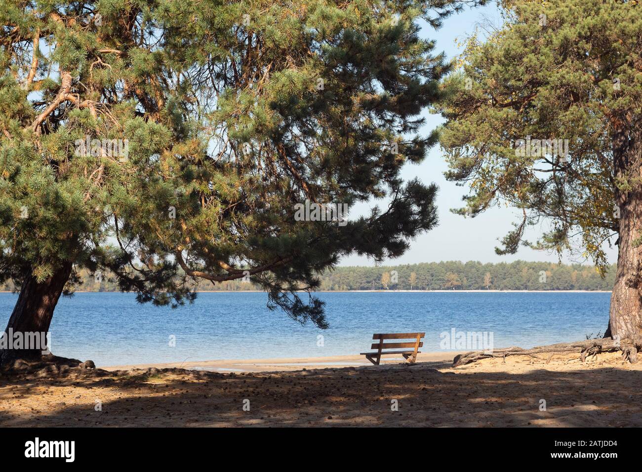 Bench on the lakeshore. Calm nature background Stock Photo - Alamy