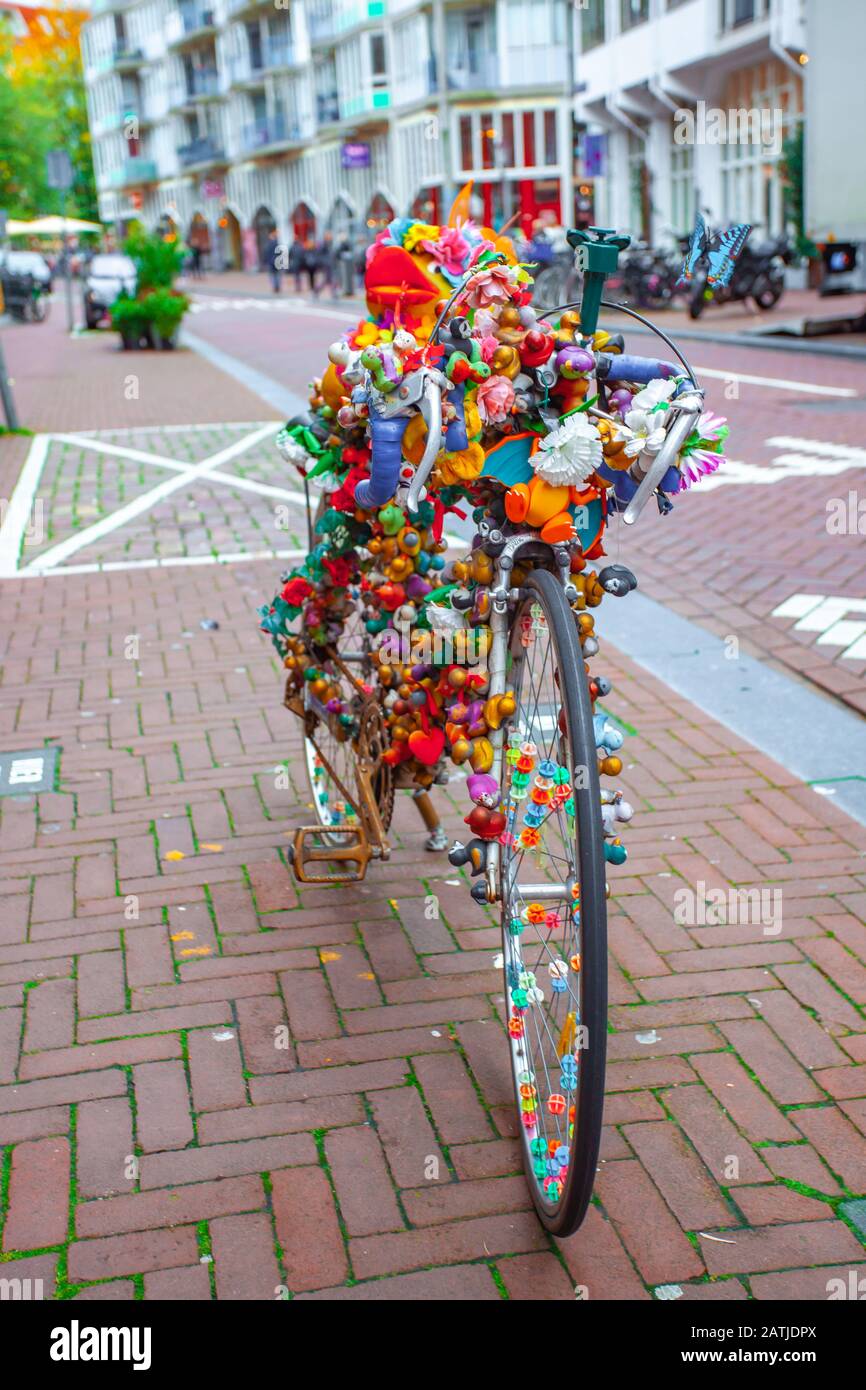 Typical Dutch duck rides a bicycle. Duck and bike are symbols of the ...