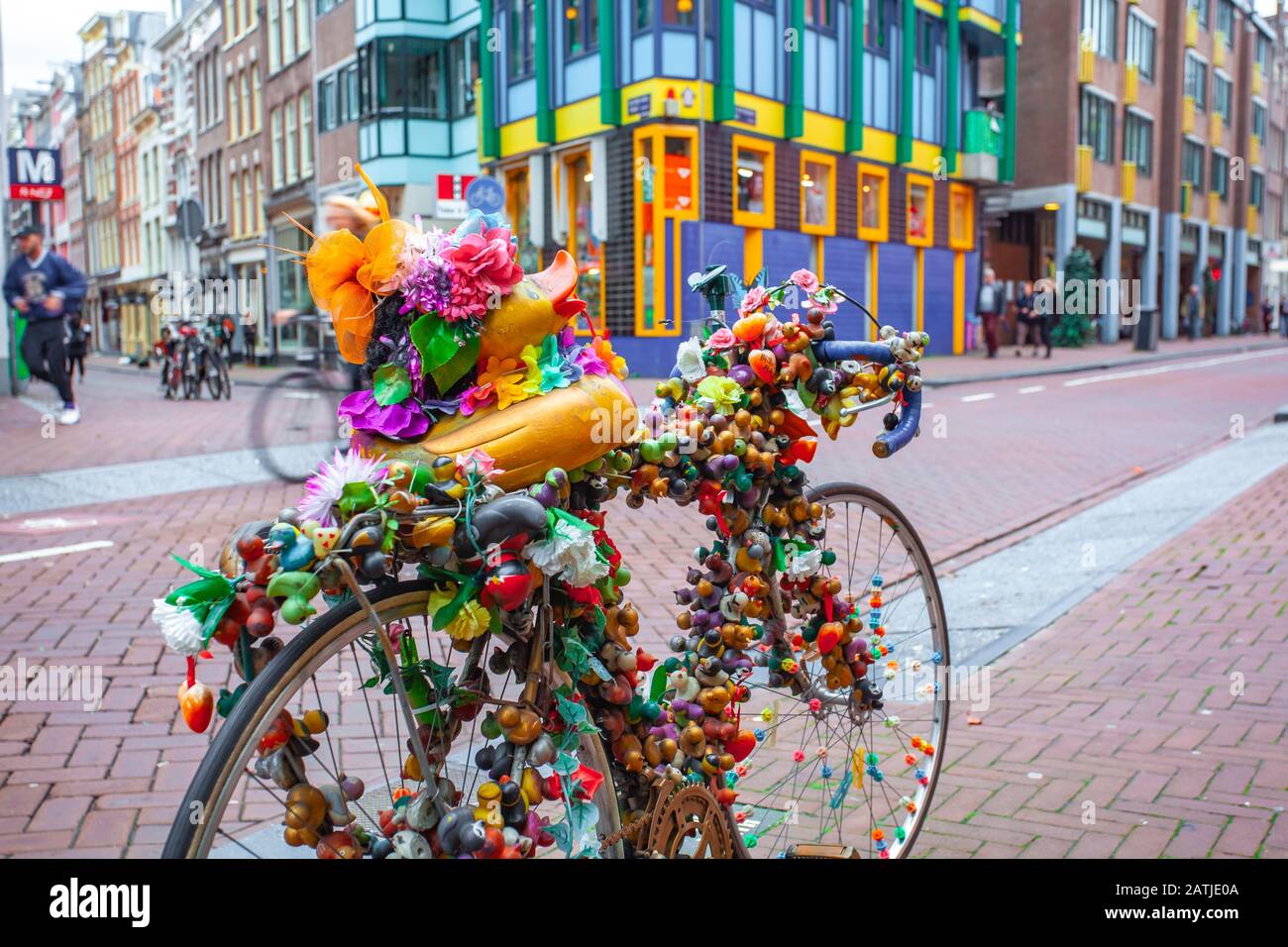 Typical Dutch duck rides a bicycle. Duck and bike are symbols of the ...