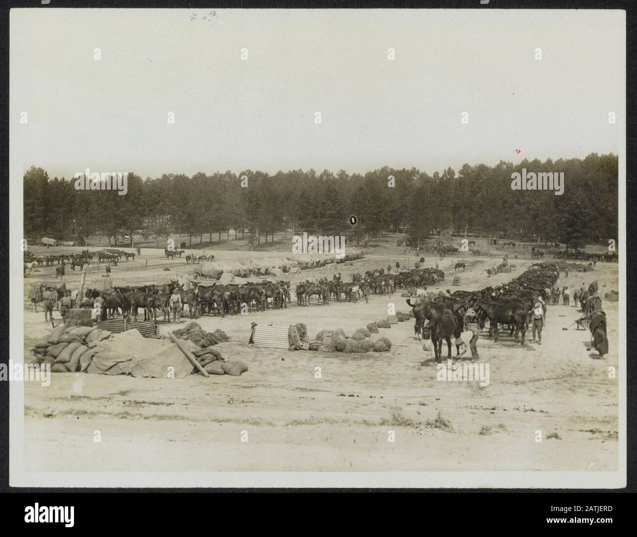 The British front Description: A cavalry camp Annotation: British front ...