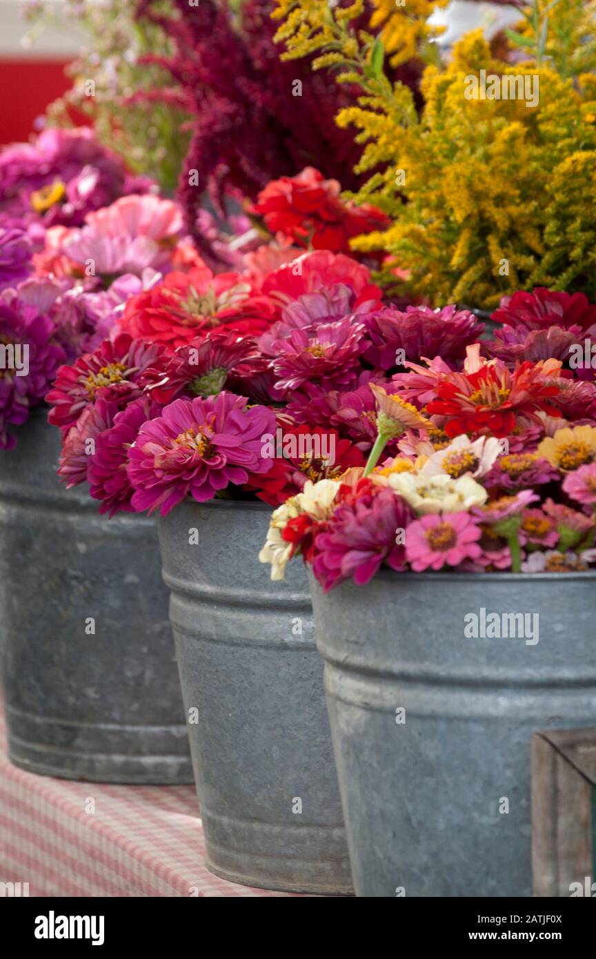 Colorful tin buckets of fresh flowers for sale at the Farmer's Market ...
