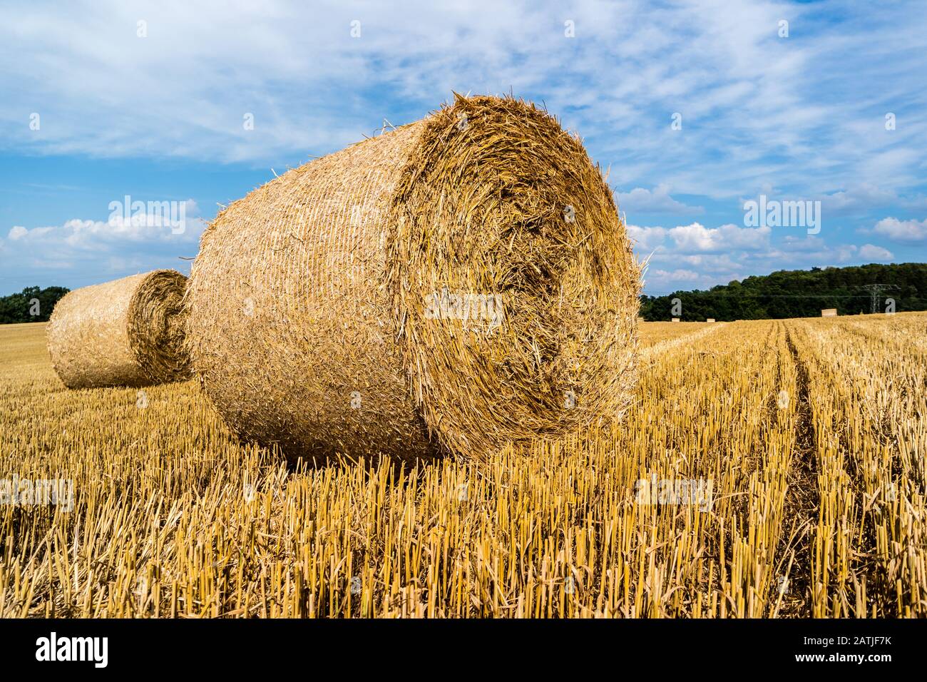 Round bales in cornfield hi-res stock photography and images - Alamy