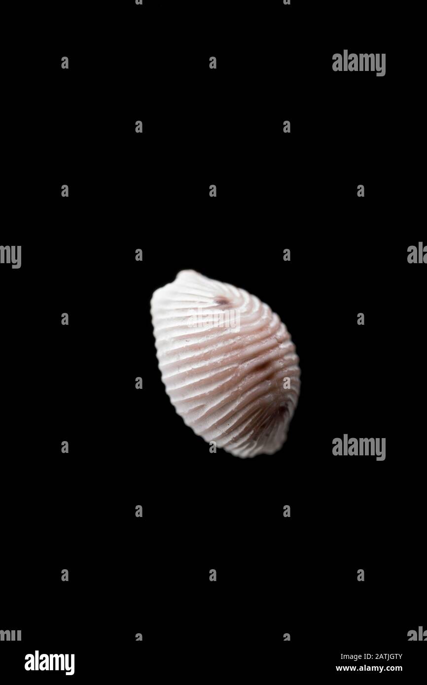 English british european hi-res stock photography and images - Alamy