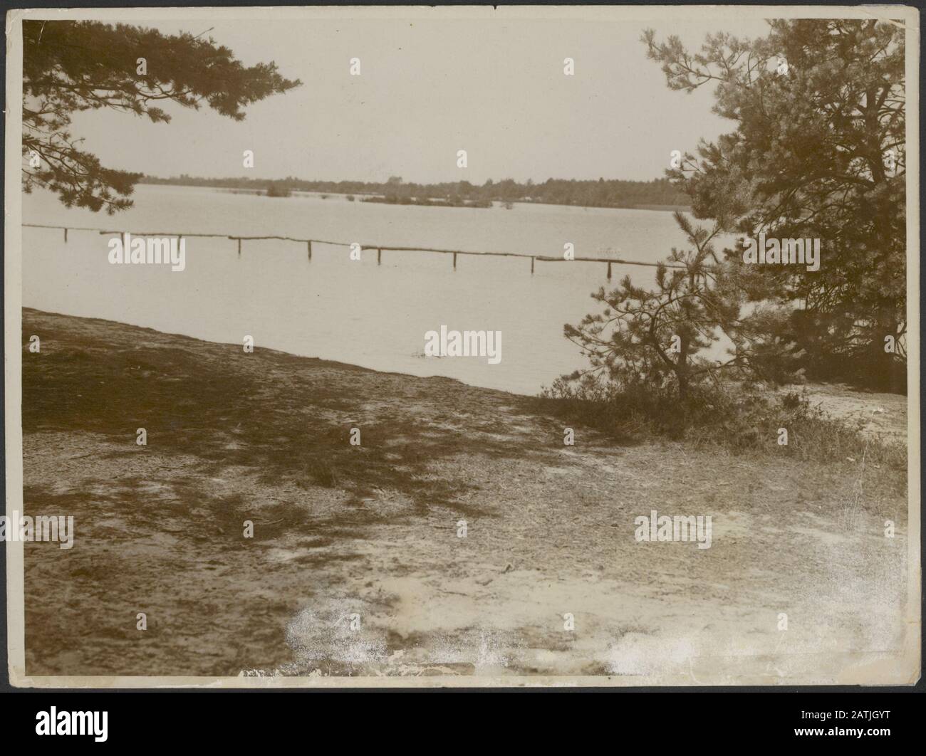 Description: Landscape with lake bordered by pine trees. Date: {1914 ...