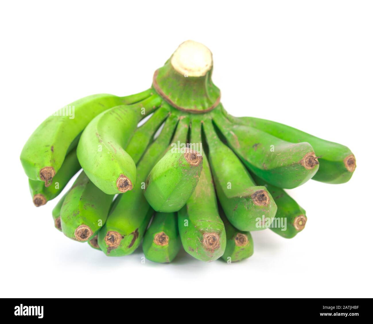 Studio shot front view of Asian green banana bundle isolated on white ...