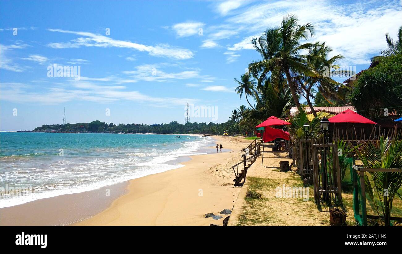 Sandy non-crowded beach with palm trees by the ocean Stock Photo - Alamy