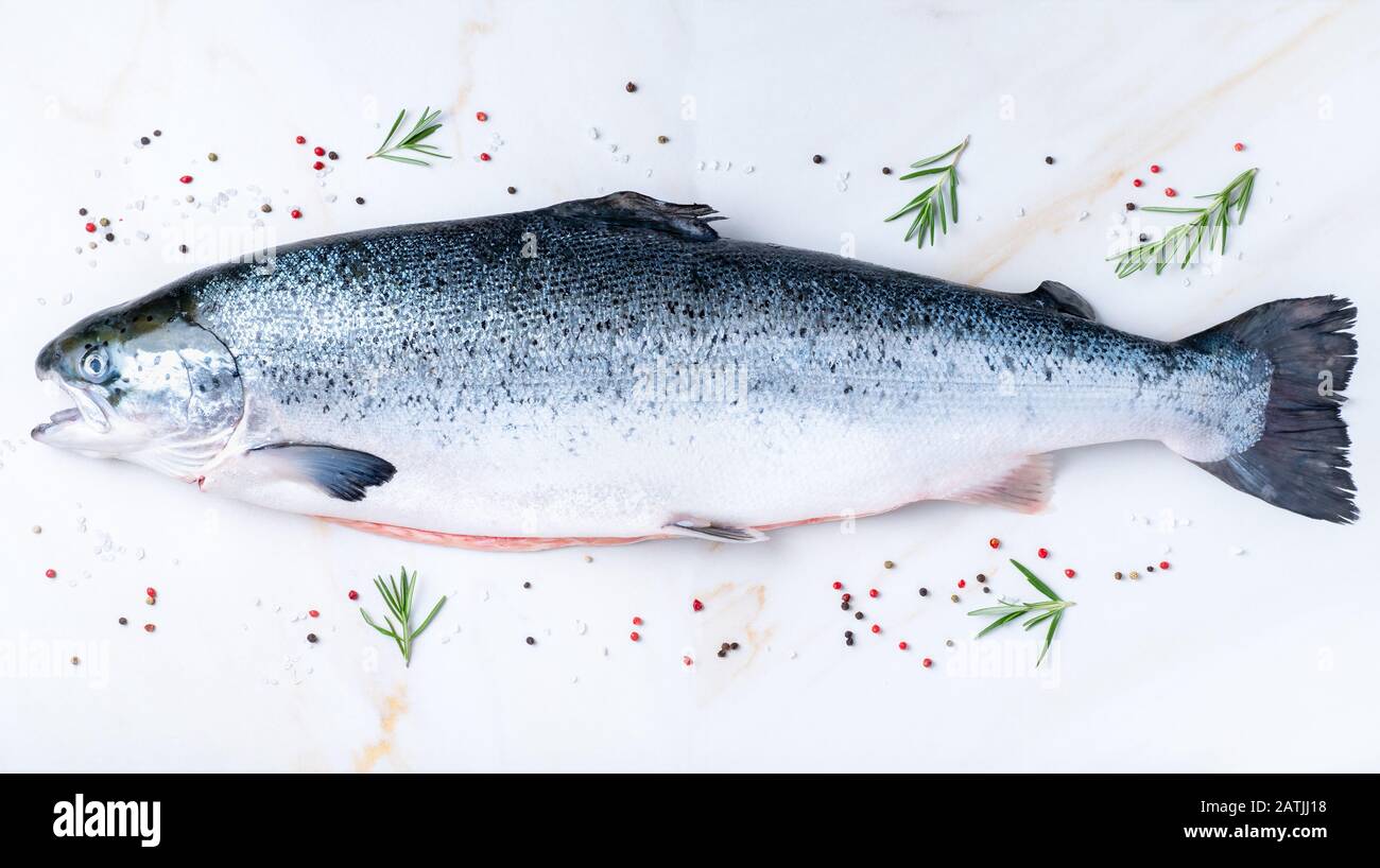 whole fresh raw big salmon fish with seasoning, salt, pepper, rosemary ...
