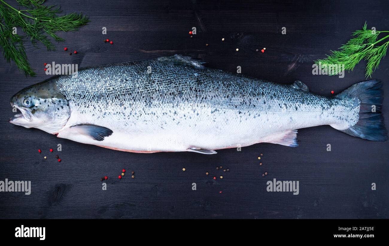 whole fresh raw big salmon fish on dark black wooden table, top view ...