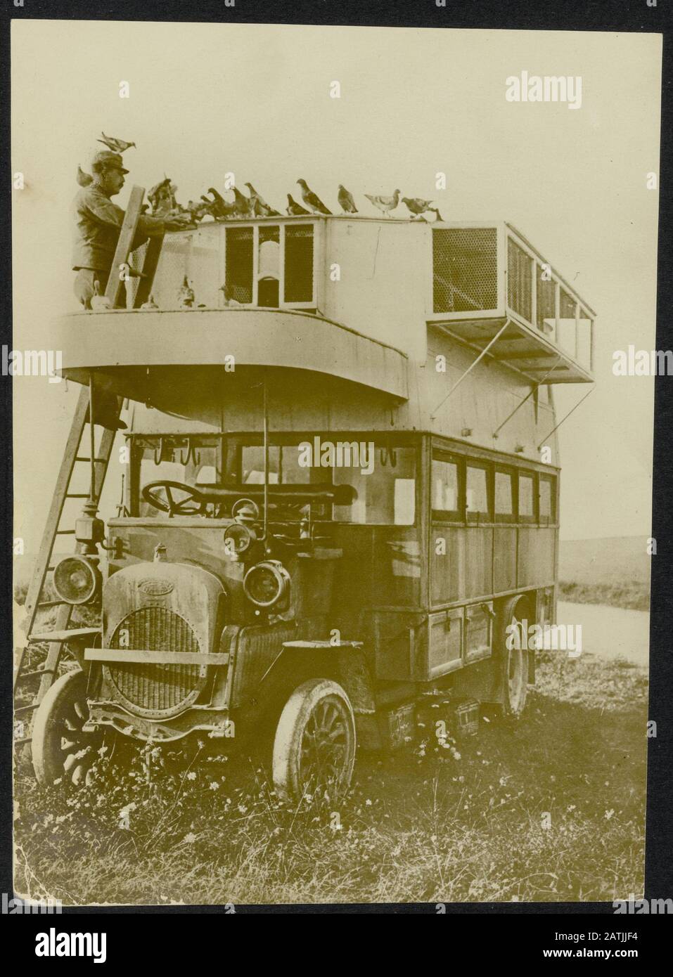 Description: [Austro-Hungarian?] Soldier handles pigeons in a loft ...