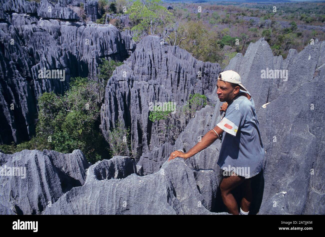 Tourist Overlooking the Karst Limestone Formations of the at Tsingy de ...