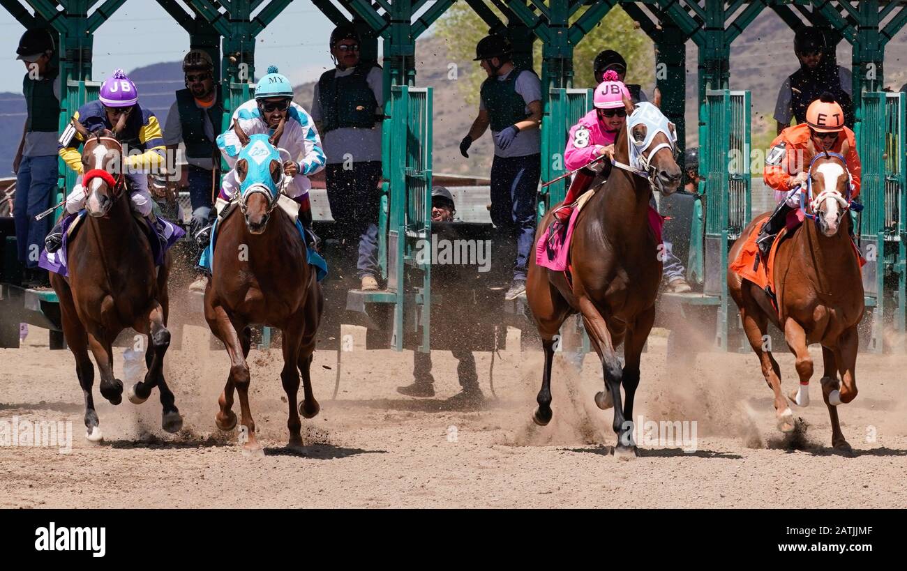 Racehorses hi-res stock photography and images - Alamy