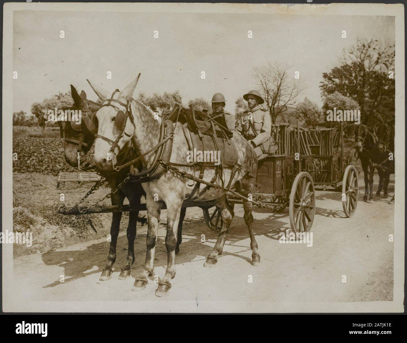 The British Western Front Description: Portuguese field limbers ...