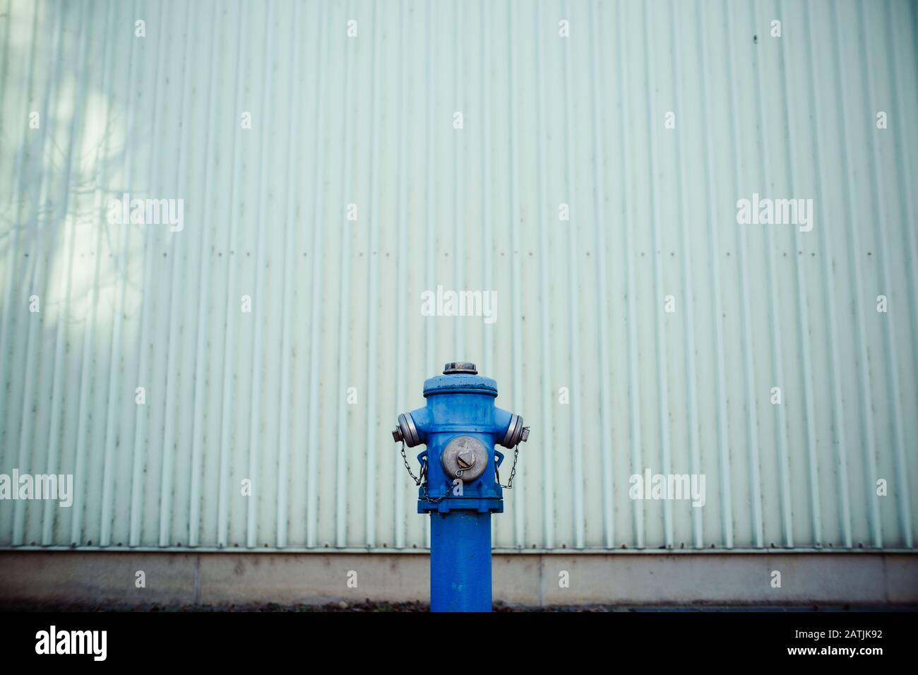 Blue water hydrant in front of a green wall. Emergency, safety and ...