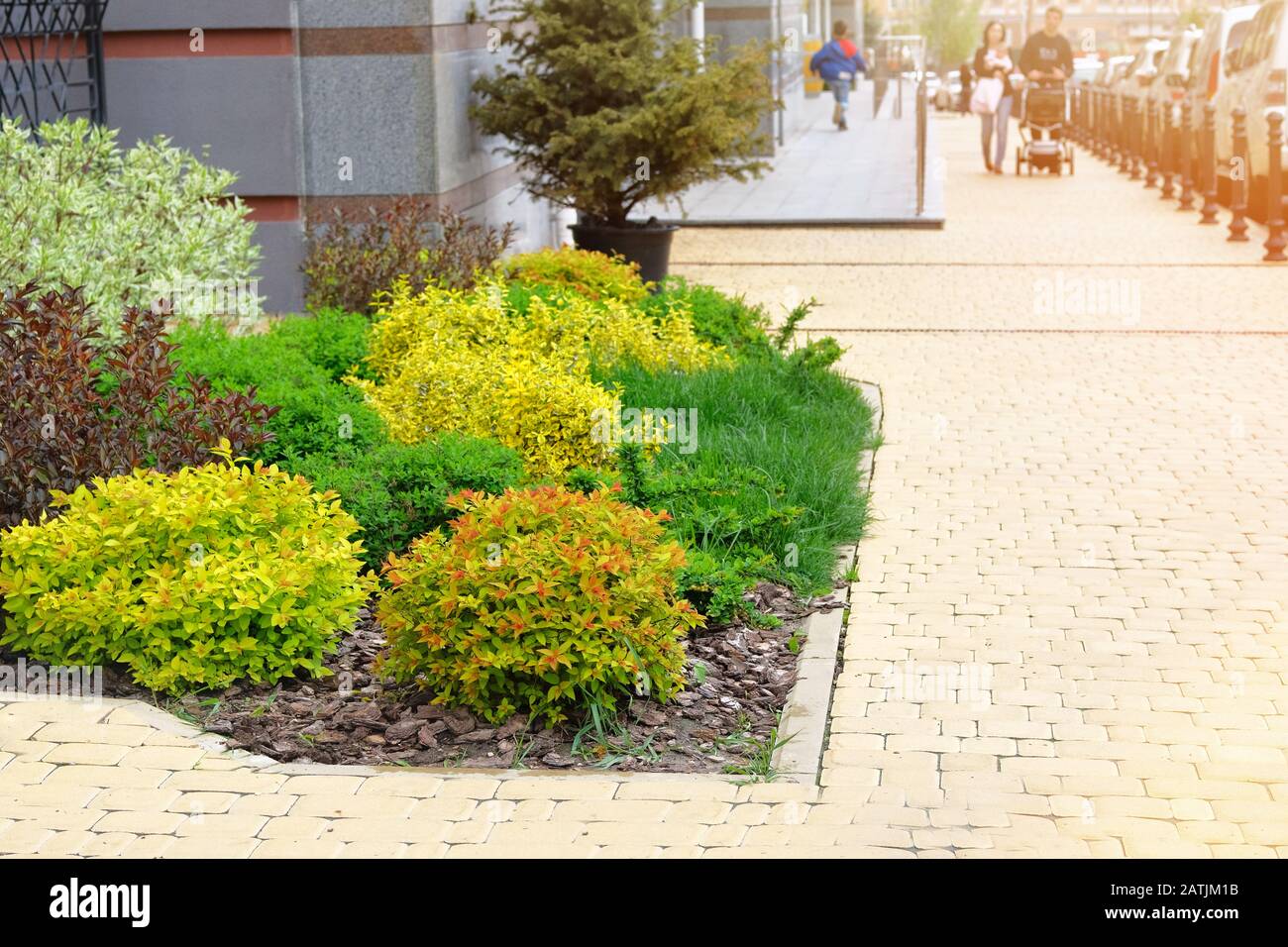 Bushes outside building hi-res stock photography and images - Alamy