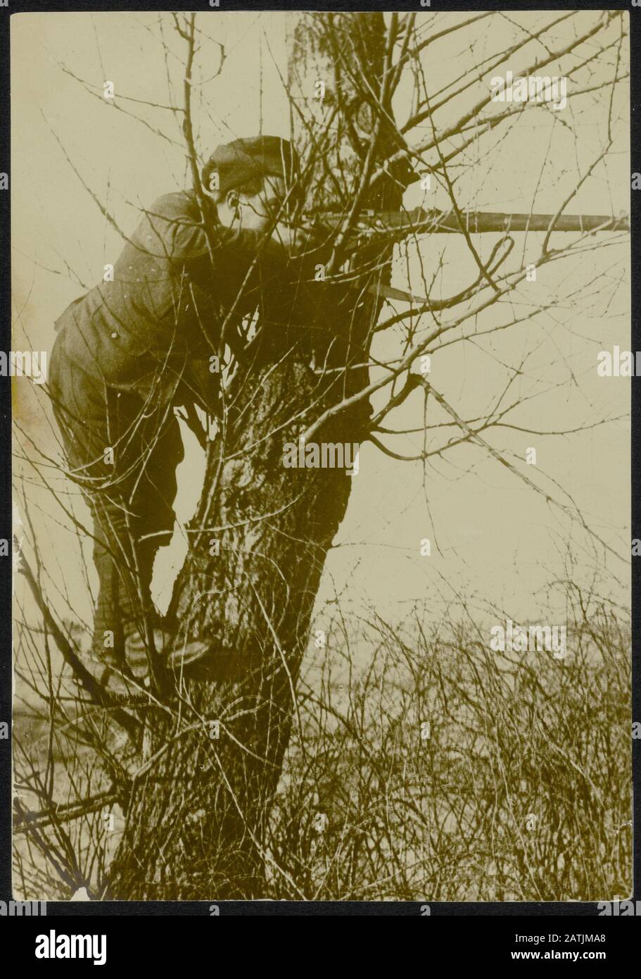 Description: Soldier with rifle shooting from a tree [Photo from German ...