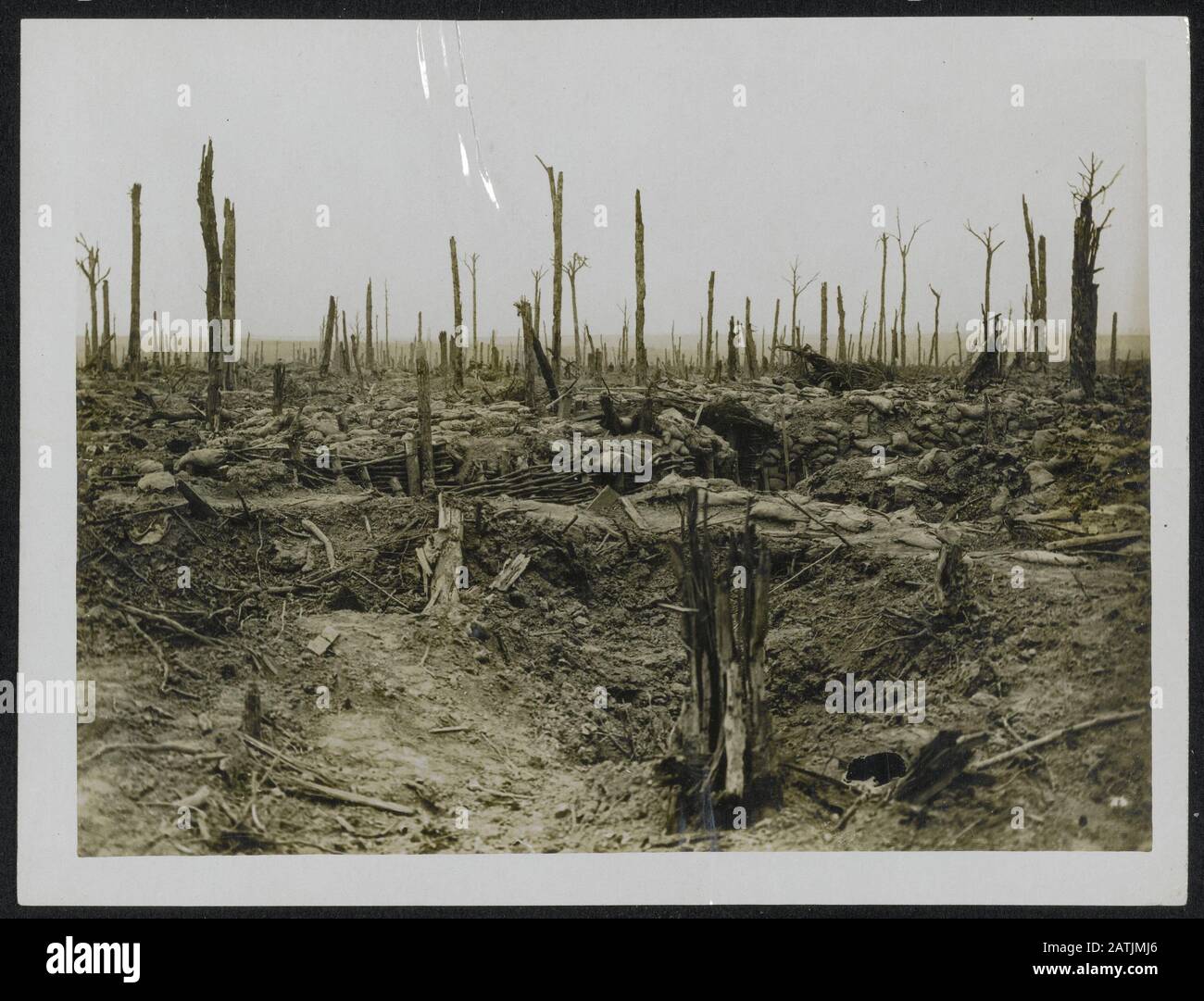 Great battle of Messines Ridge Description: Summer has been changed to ...