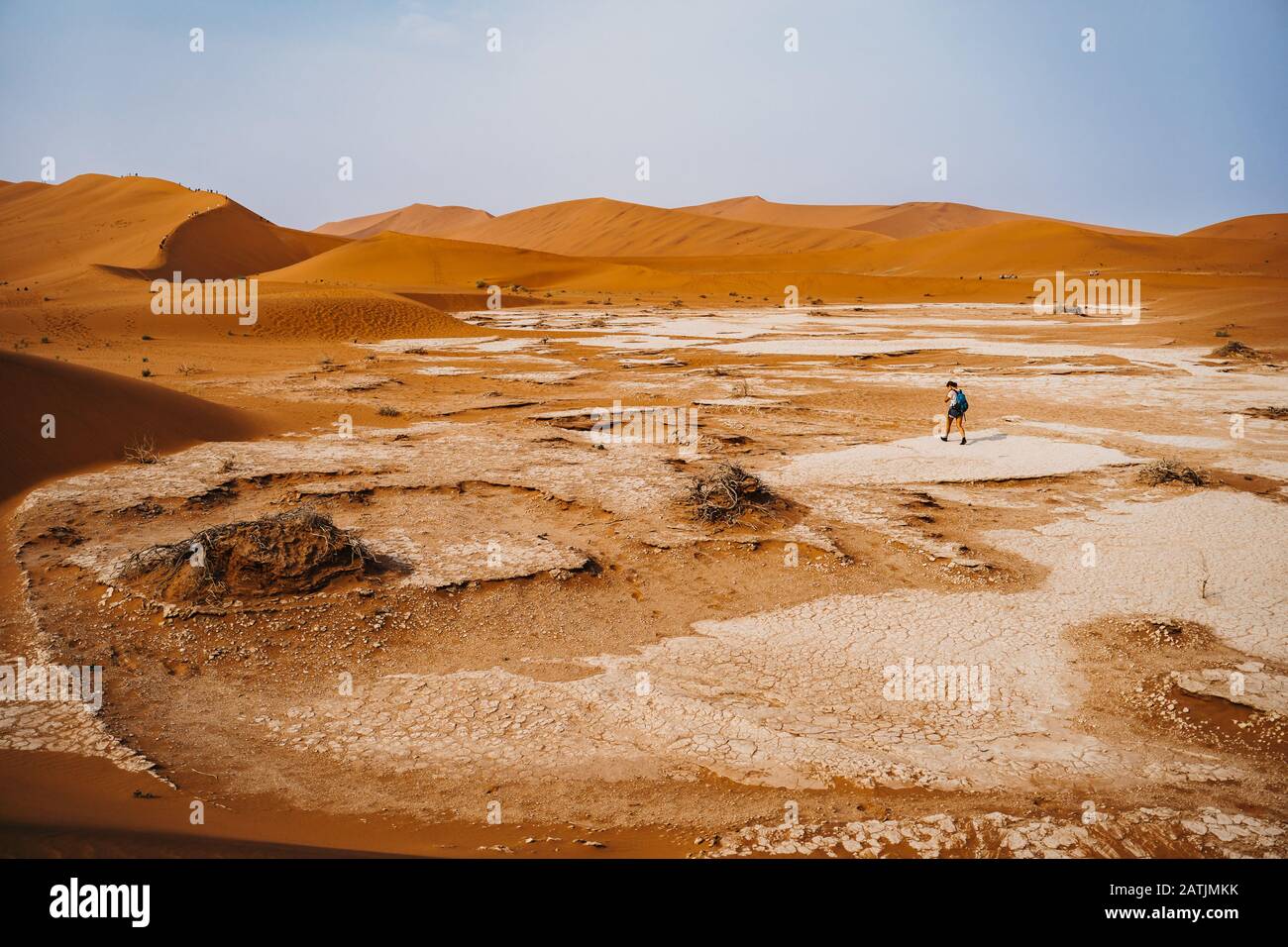 dried out desert area and sand structure Stock Photo - Alamy