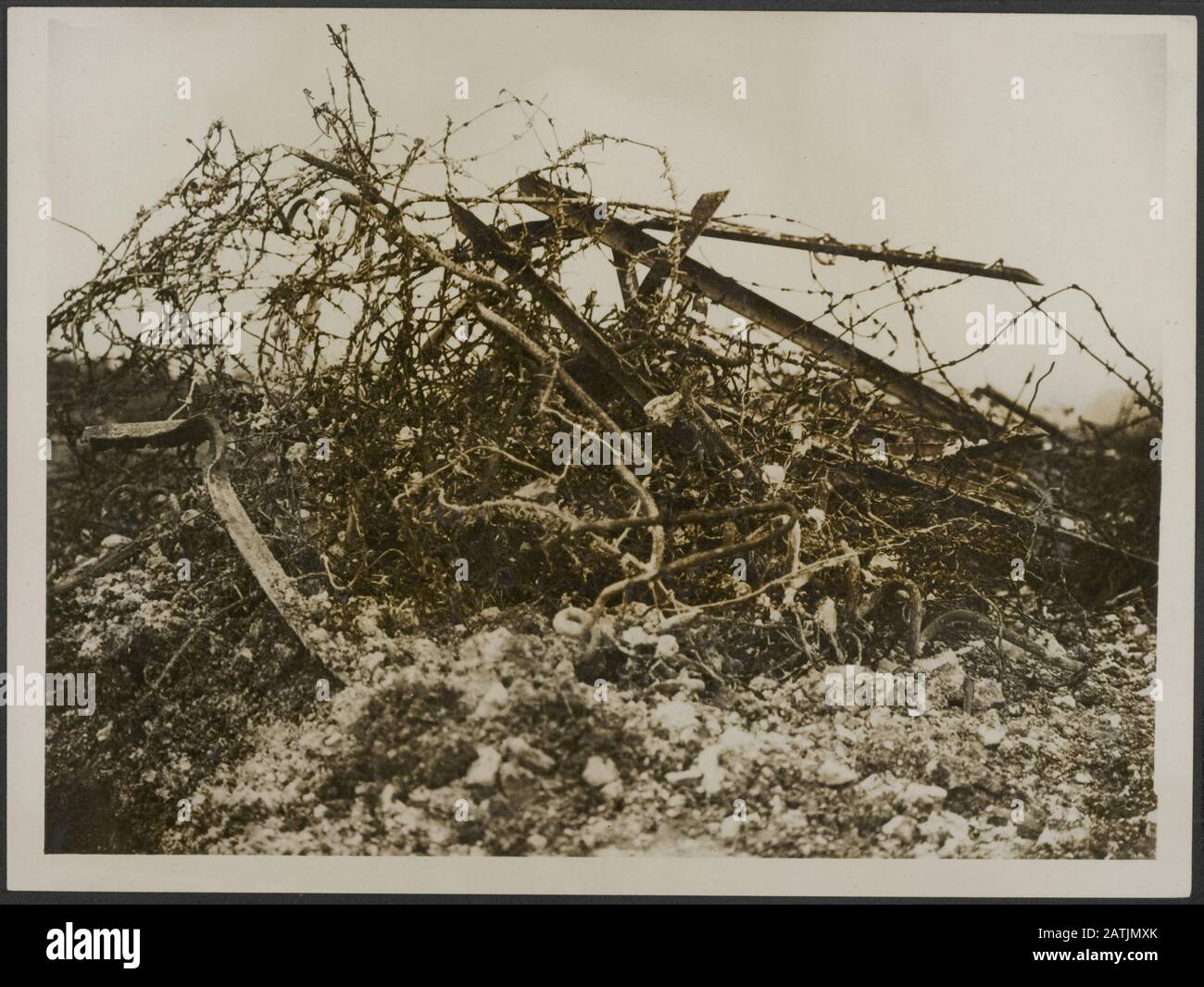 Barbed wire entanglements 1918 hi-res stock photography and images - Alamy
