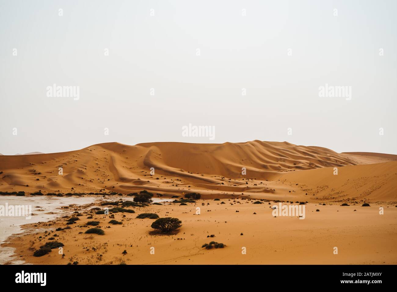dried out desert area and sand structure Stock Photo - Alamy