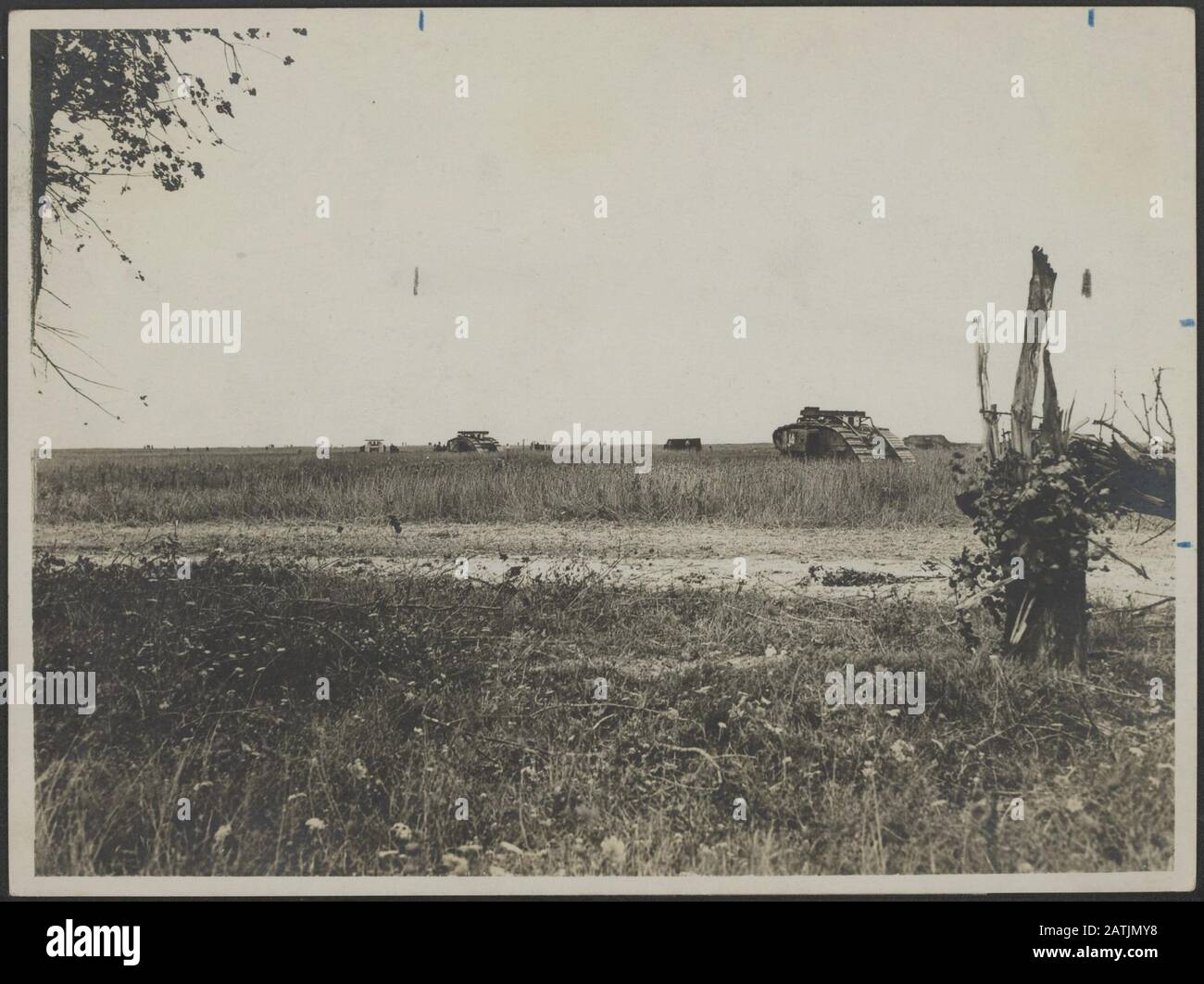 Tanks 1916 hi-res stock photography and images - Alamy