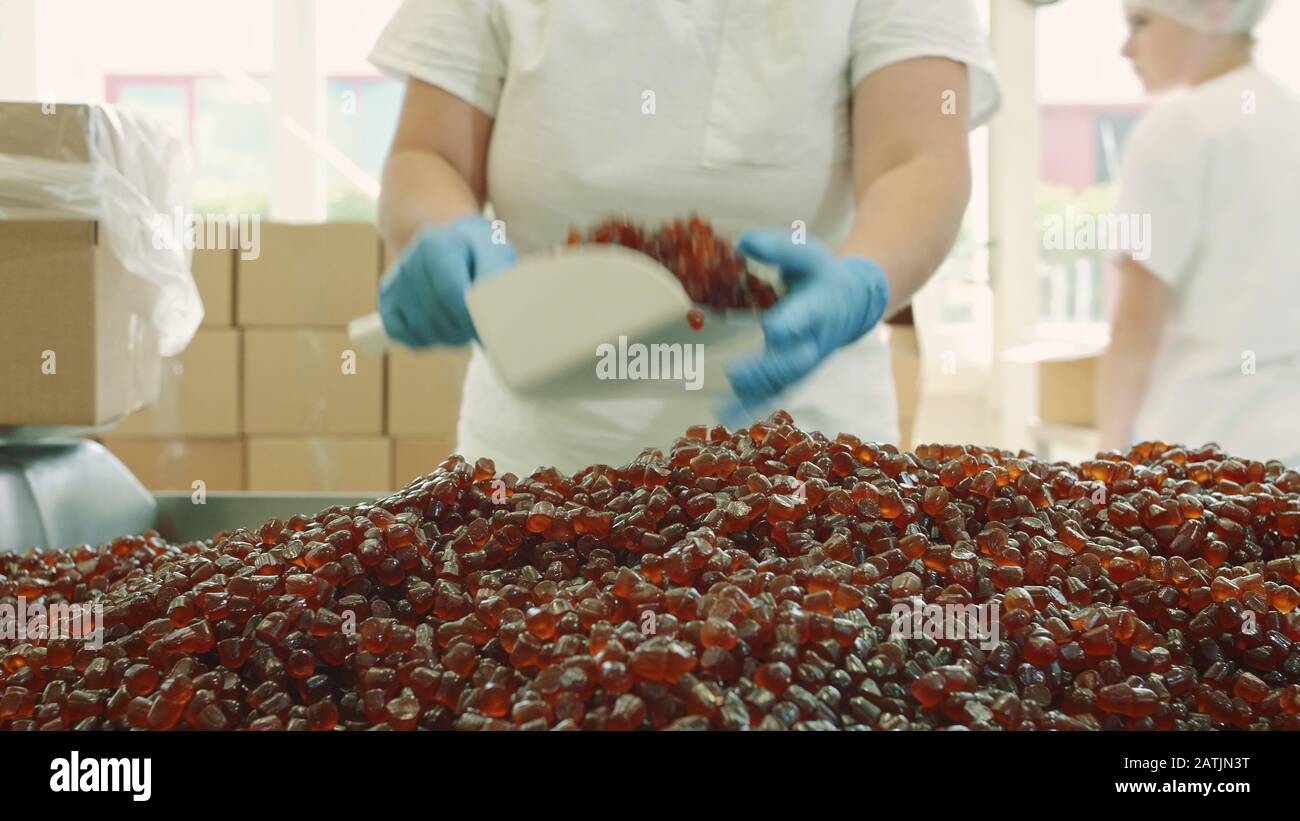 Candy factory. Factory worker packing candies. Young woman in uniform ...