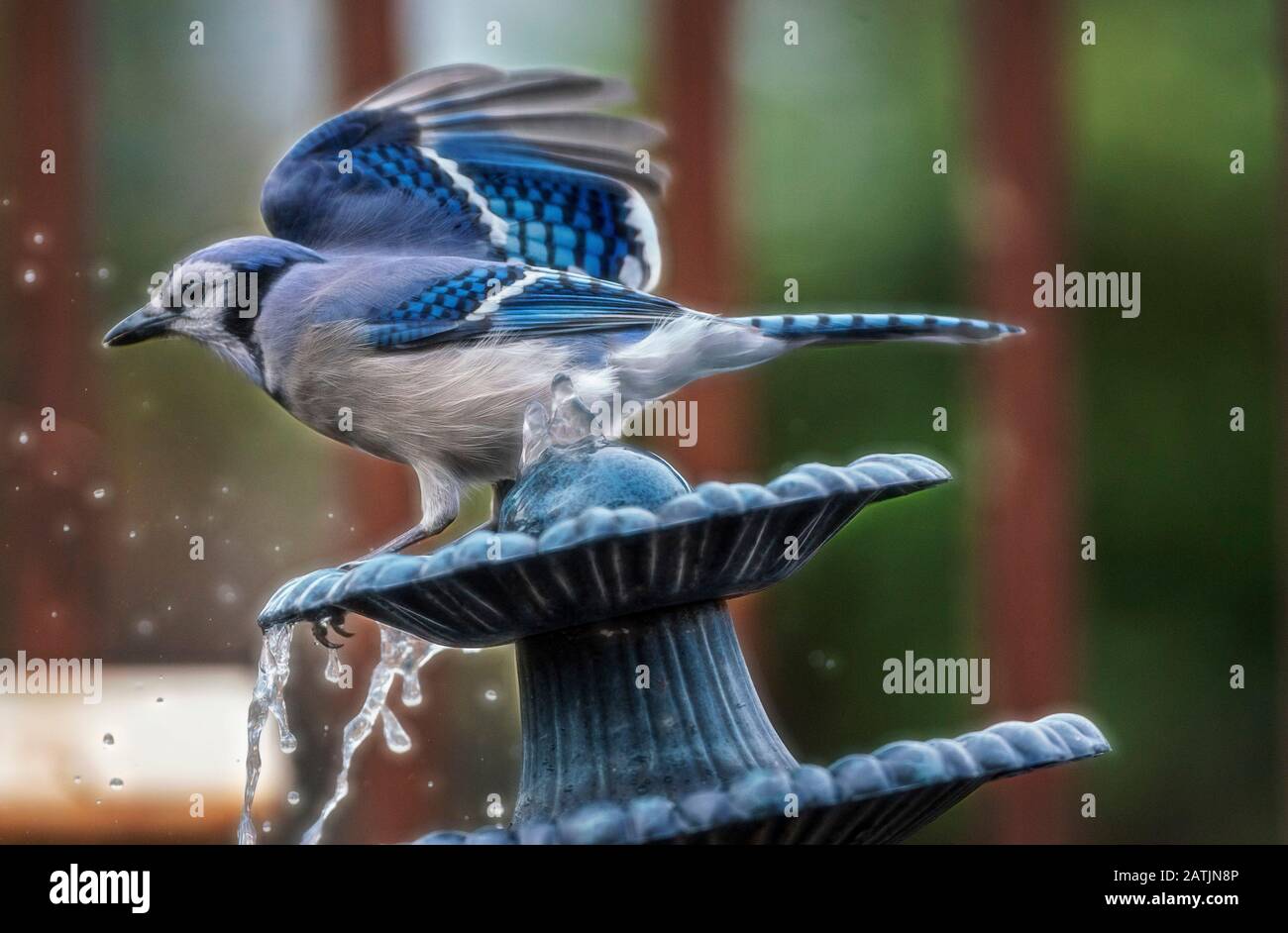 Wings falling off hi-res stock photography and images - Alamy