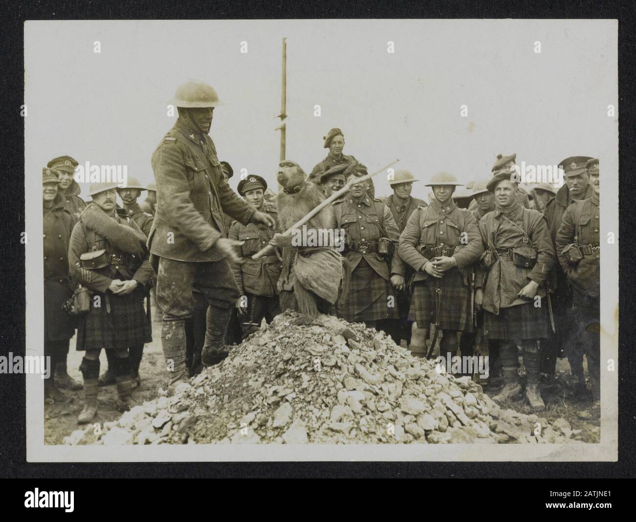 The British Western Front in France Description: The German offensive ...