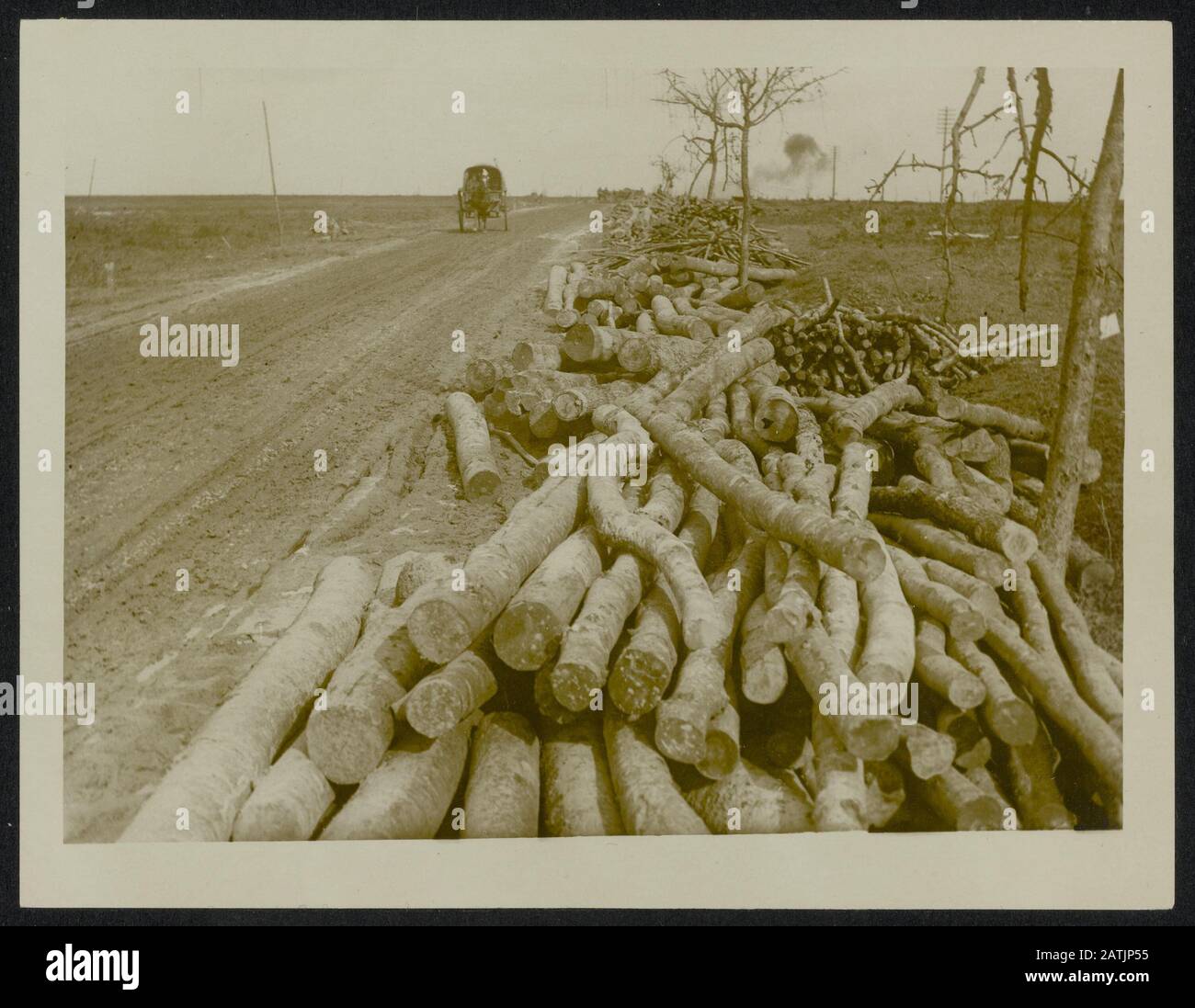 Timber road hi-res stock photography and images - Alamy