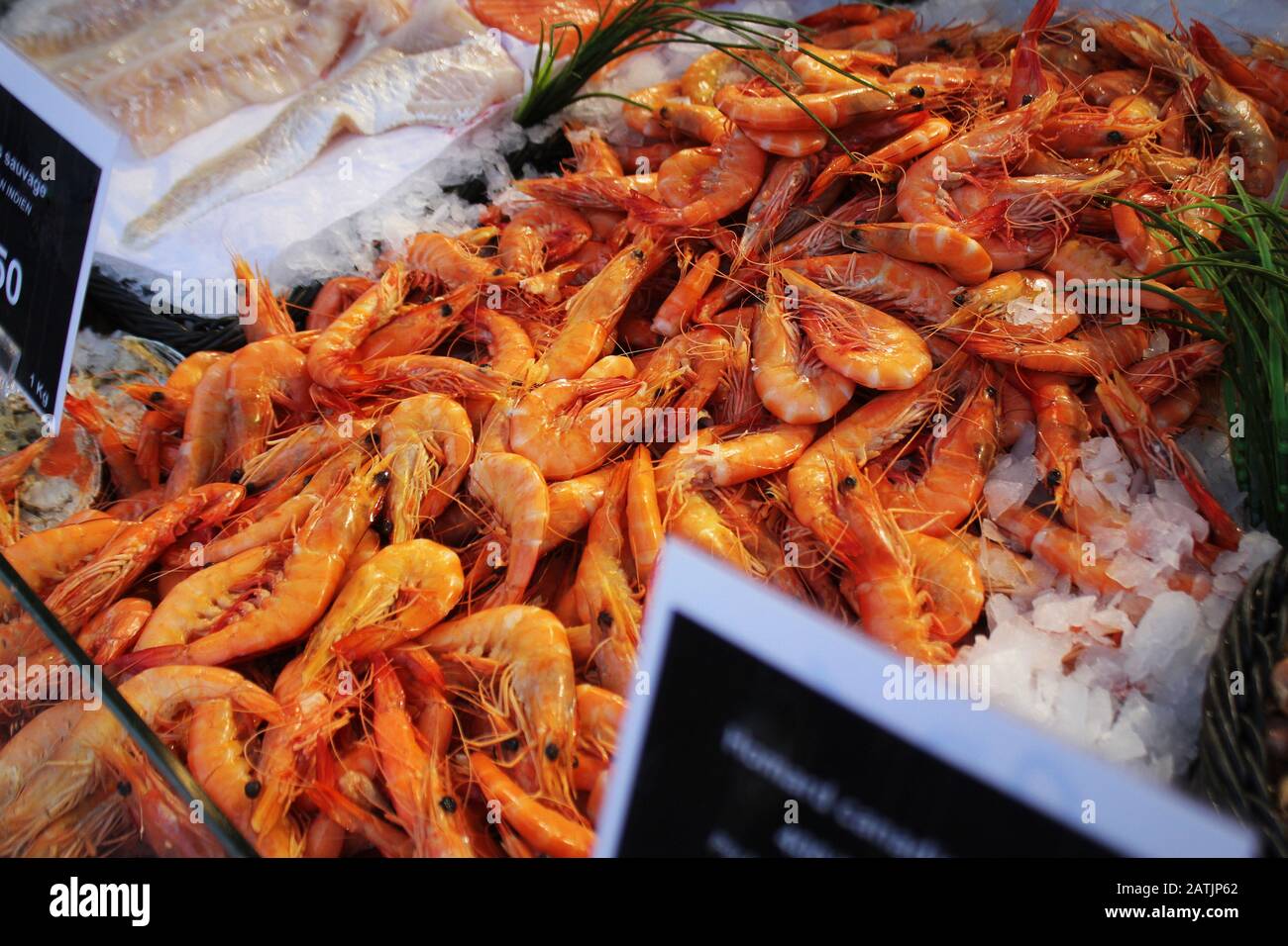 Fresh Shrimps on display in fishermen market Stock Photo - Alamy