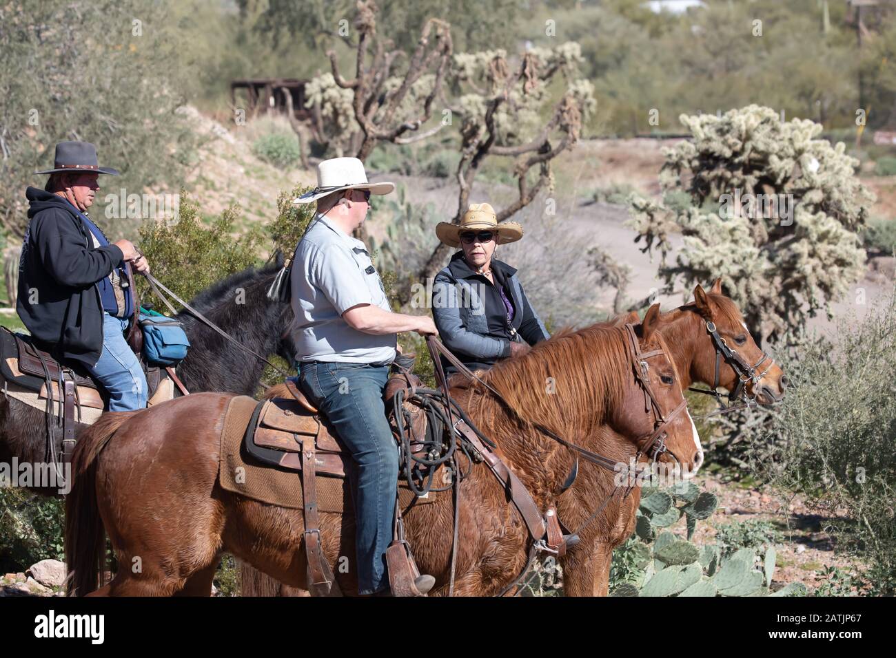 Cowboys out riding in the desert in Arizona Stock Photo - Alamy