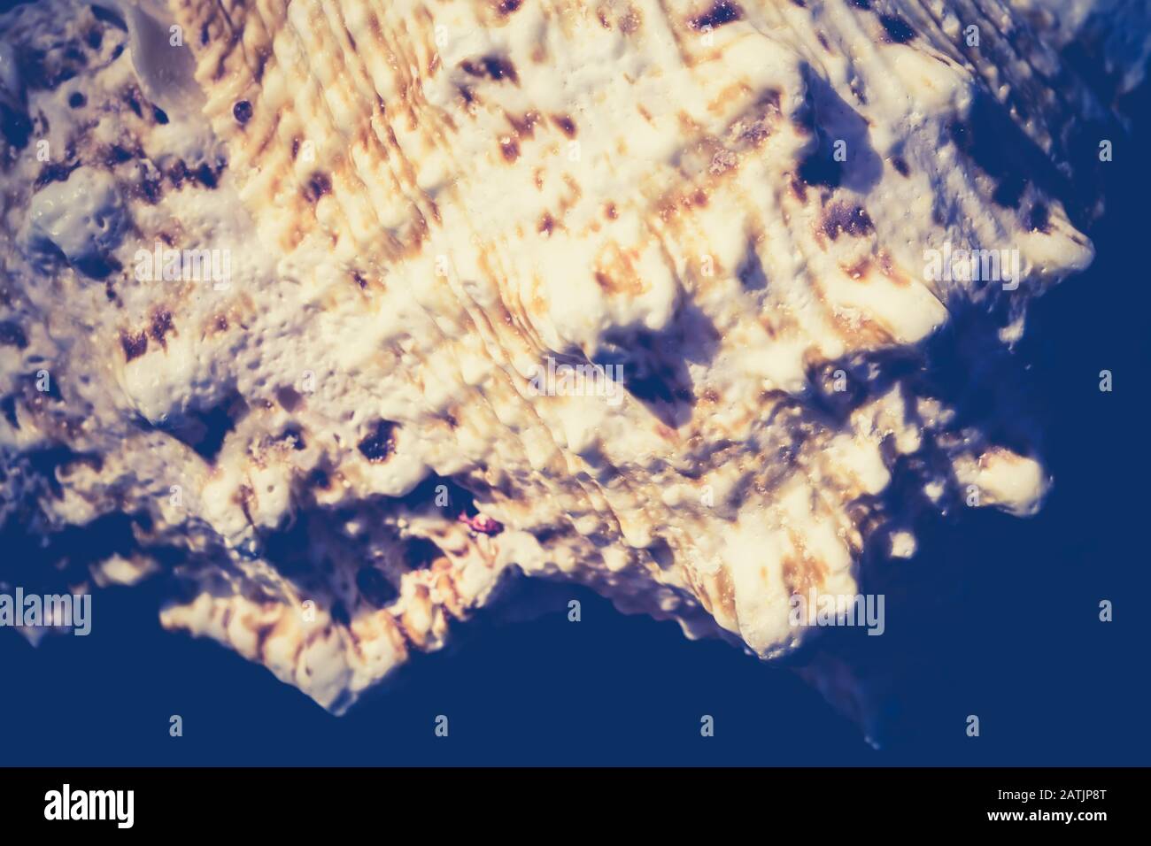 Big spiral spike sea shell close up vintage background Stock Photo - Alamy