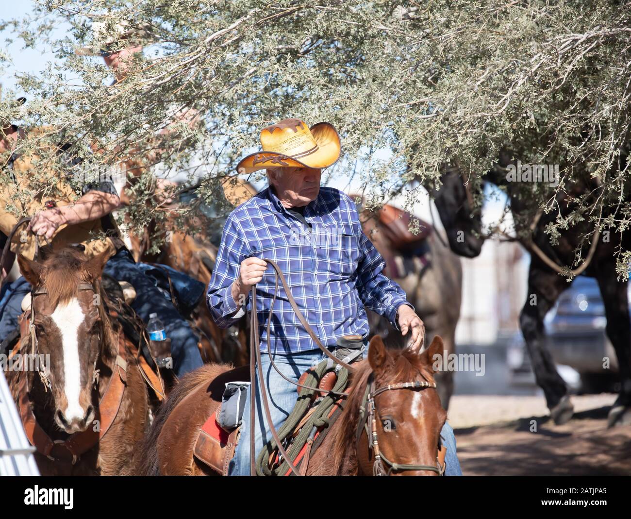 Cowboys out riding in the desert in Arizona Stock Photo - Alamy
