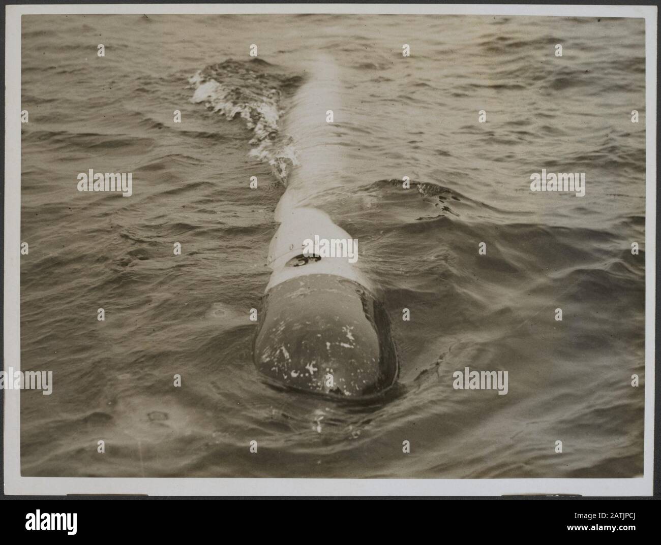 Torpedo description hi-res stock photography and images - Alamy