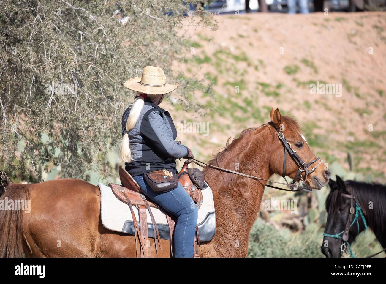Cowboys out riding in the desert in Arizona Stock Photo - Alamy
