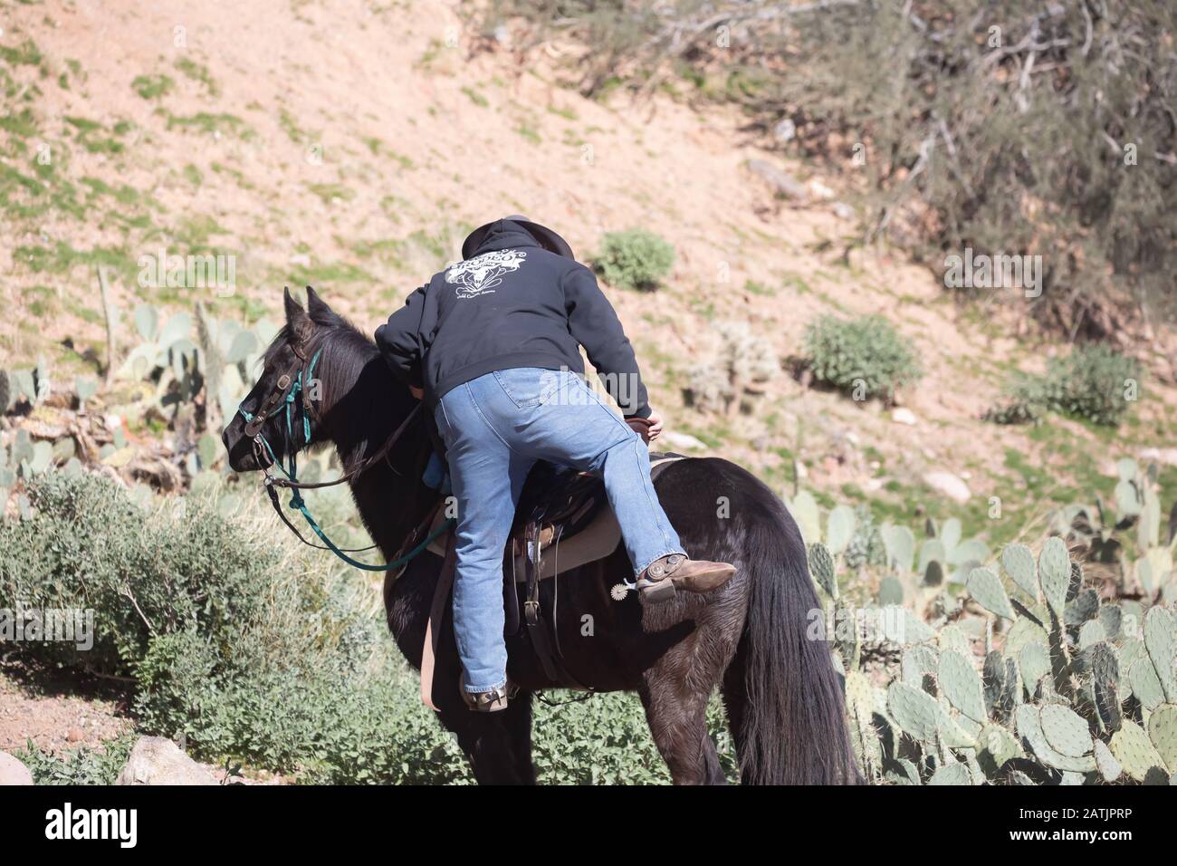 Cowboys out riding in the desert in Arizona Stock Photo - Alamy