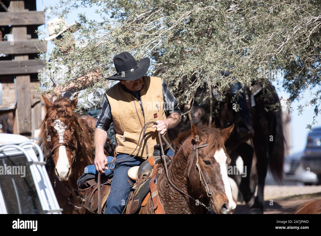 Cowboys out riding in the desert in Arizona Stock Photo - Alamy