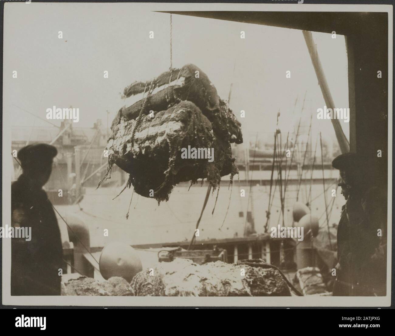 Unloading cotton from hi-res stock photography and images - Alamy
