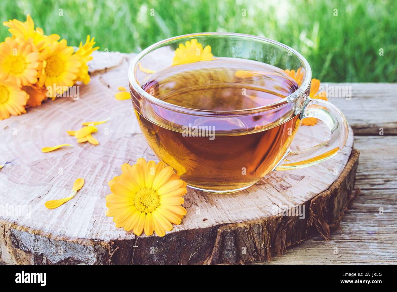 Cup of marigold and calendula tea flowers outdoors on green background ...