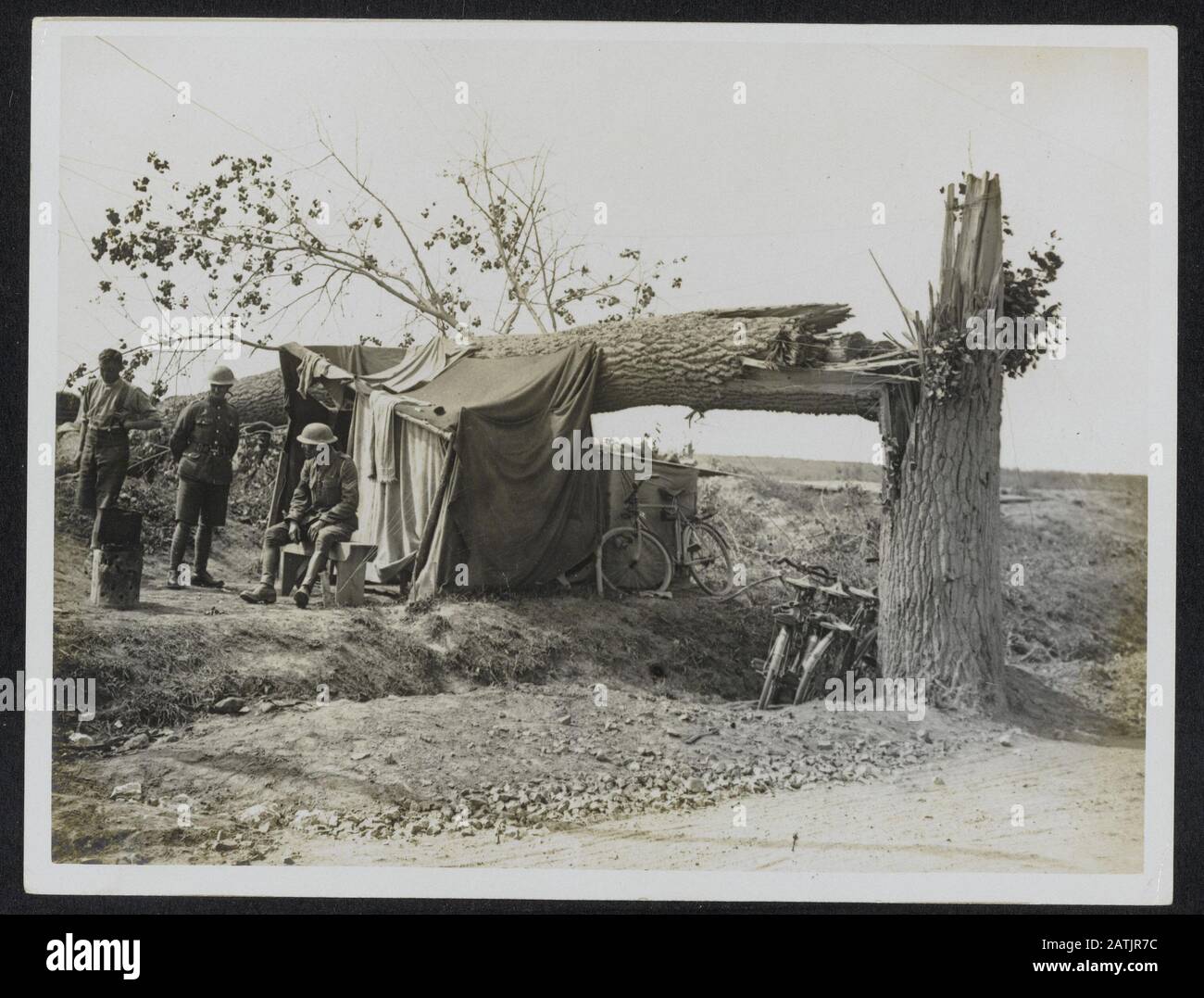 The British front Description: A tree knocked down by shellfire ...