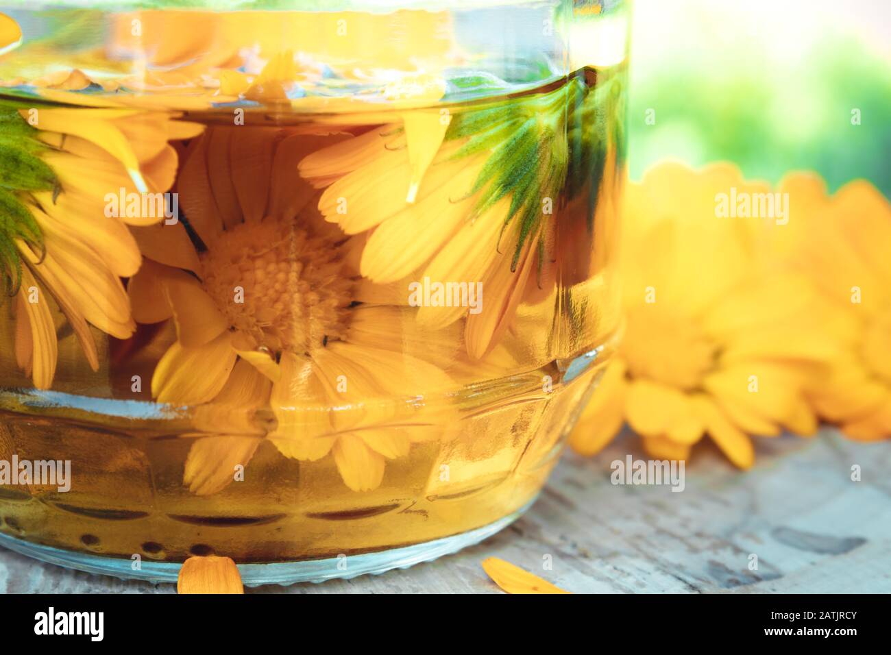 Transparent jar of calendula tincture with a fresh plant of calendula ...