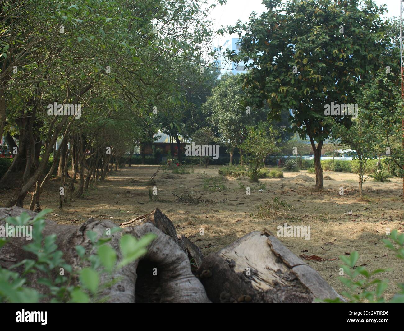 Landscape of rural bengal, India Stock Photo - Alamy